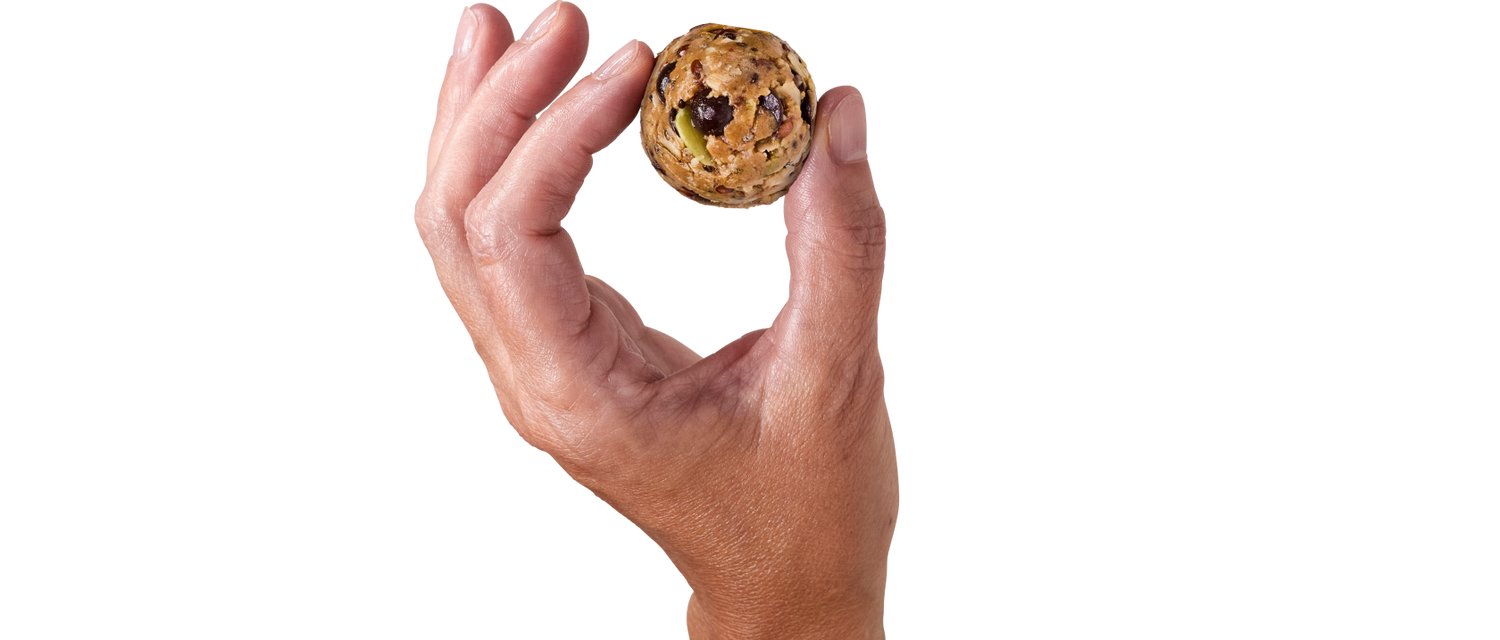 ModBalls Clean Energy Bites – Modballs